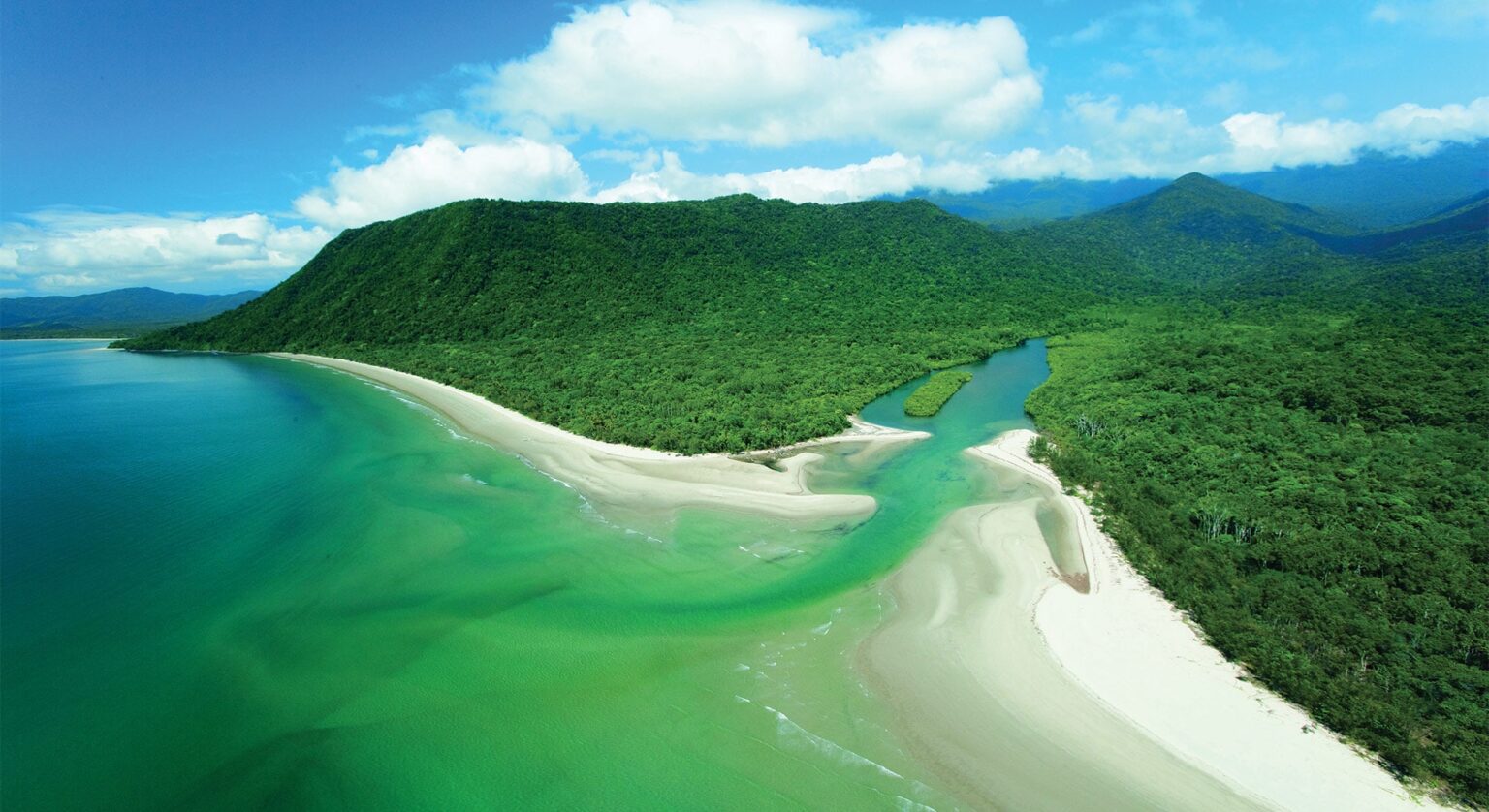 Your Comprehensive Guide to Daintree National Park: Navigating Nature's ...
